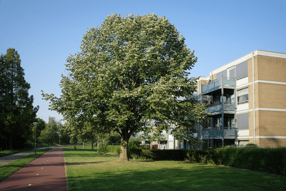 Den Haag en Rijswijk willen samen welvaart bevorderen met Regio Deal ...