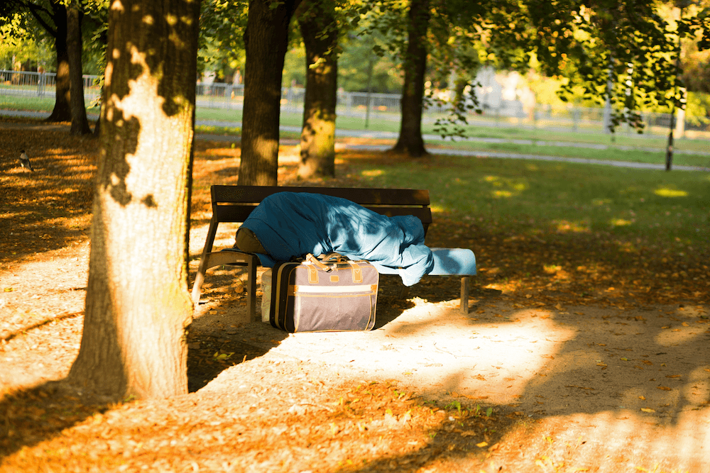 Miljoenen extra om dakloze arbeidsmigranten uit park en bos te krijgen ...